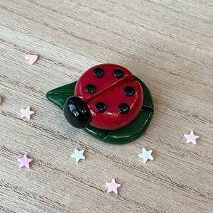 Custom Made Polymer Clay Ladybug and Leaf Set/ Figurine/ Ceramics ...