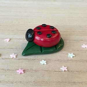 Custom Made Polymer Clay Ladybug and Leaf Set/ Figurine/ Ceramics ...