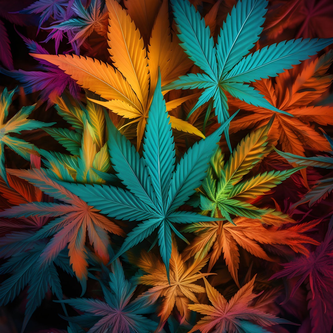 Bright Colorful Marijuana Leaves - Etsy
