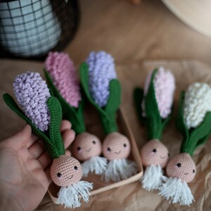 Amigurumi Hyacinth Crochet Pattern, Basket Decor (PDF Tutorial) - Etsy