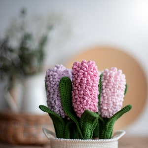 Amigurumi Pattern Crochet Hyacinths in Basket, Amigurumi Hyacinth ...