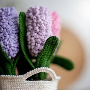 Amigurumi Hyacinth Crochet Pattern, Basket Decor (PDF Tutorial) - Etsy