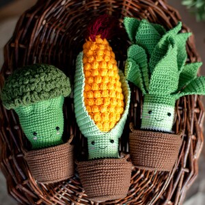 SET Amigurumi Pattern Crochet Vegetables in Baskets, Amigurumi ...