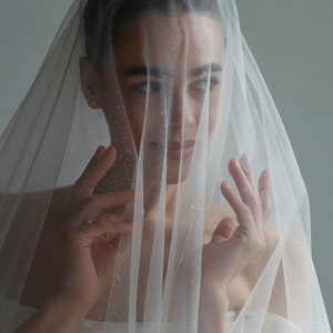 Glitter Wedding Veil, Two Tier Soft Sparkling Veil, Glitter Veil With ...