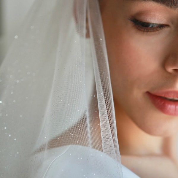Glitter Wedding Veil With Blusher, Two Tier Long Shimmer Veil ...