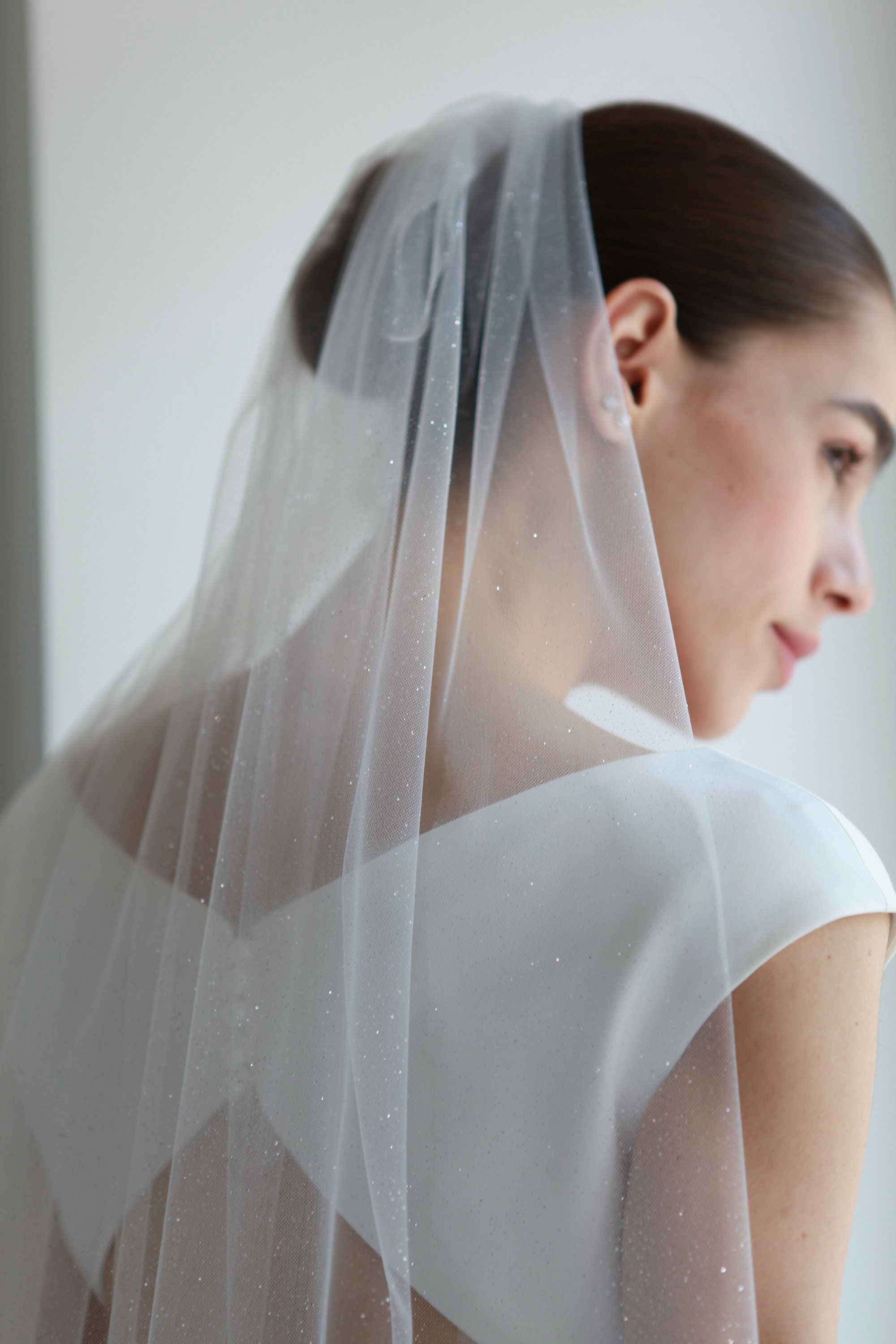 Glitter Wedding Veil, Single Layer Long Wedding Veil With Silver ...