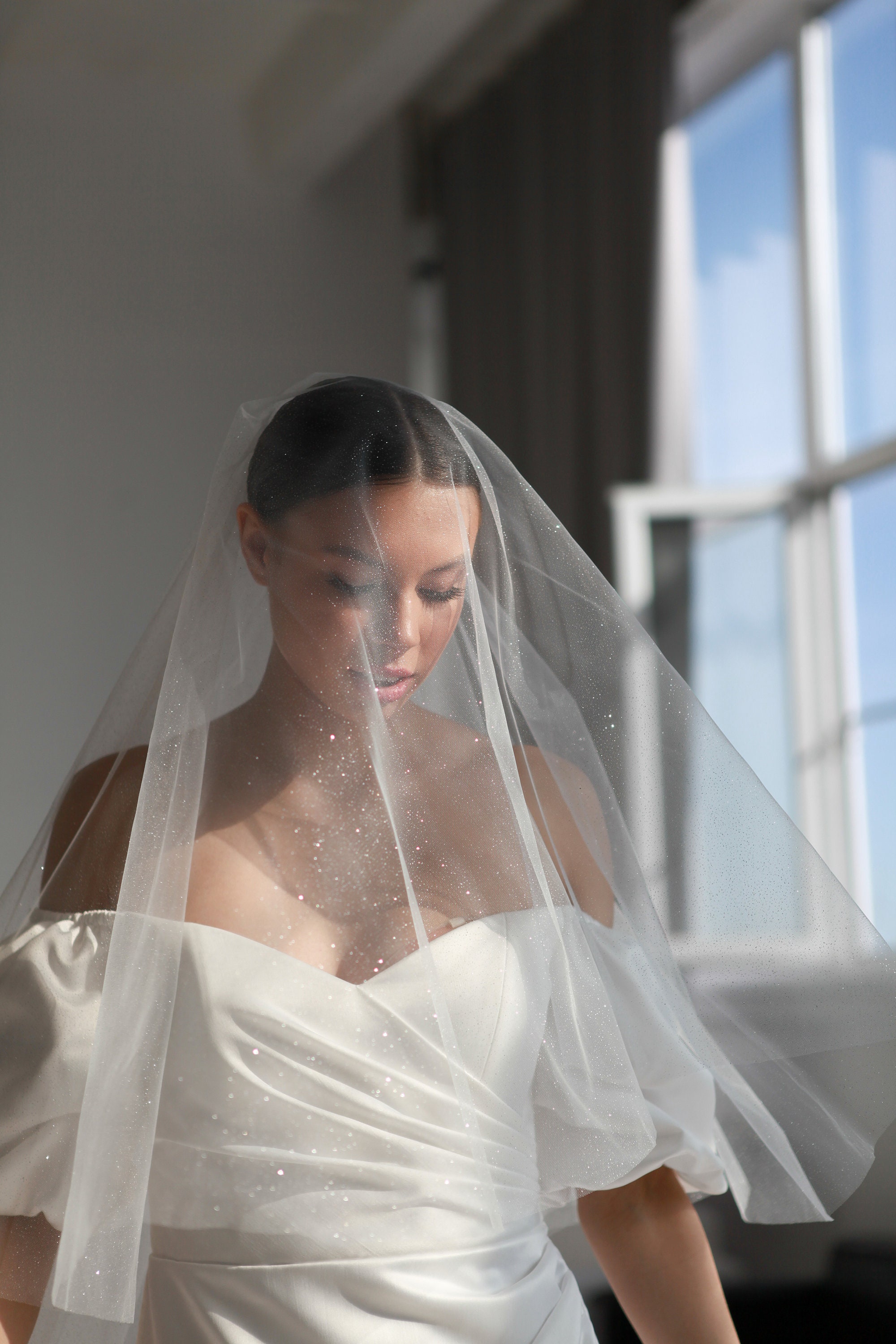 Glitter wedding veil with blusher, two tier long shimmer veil ...