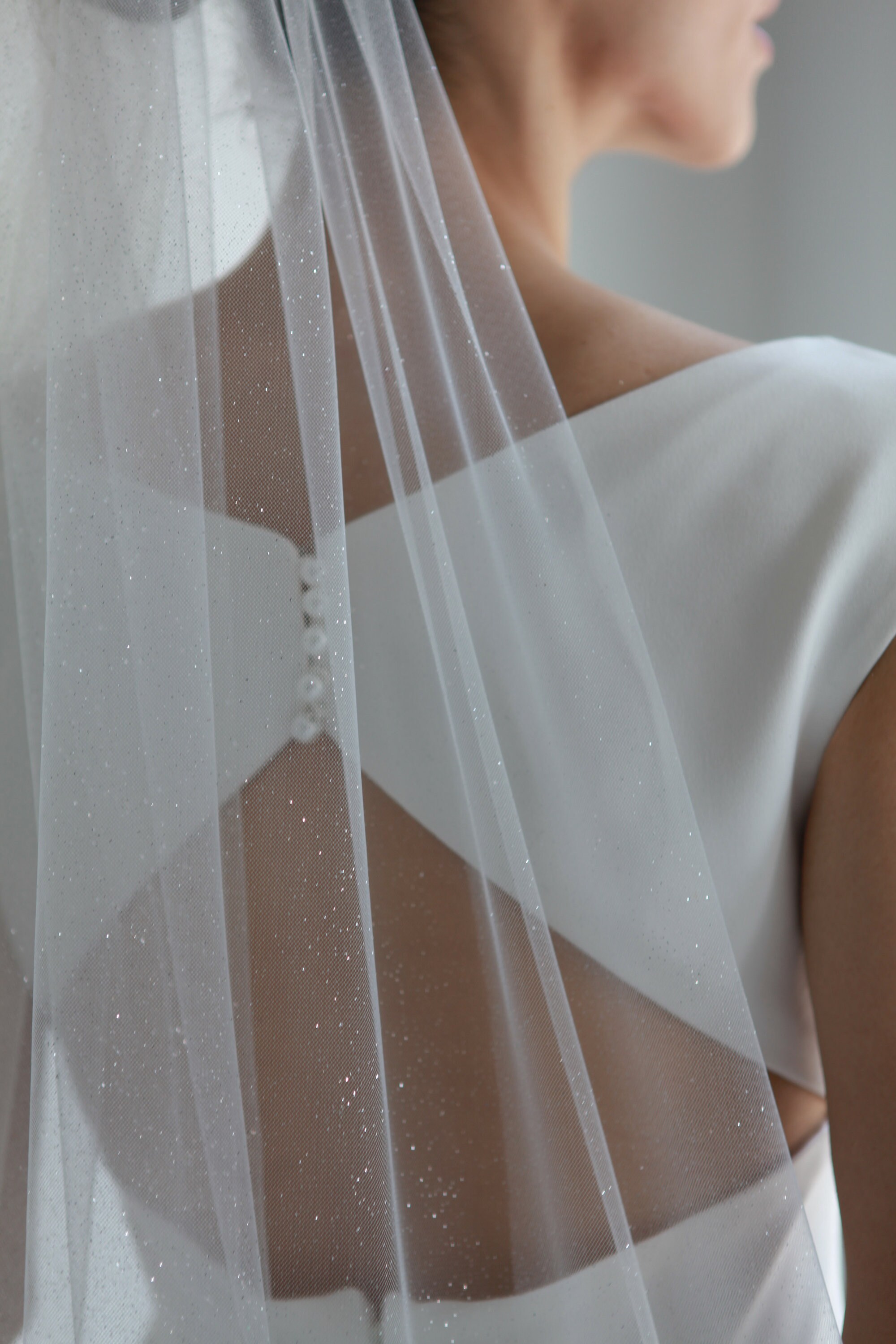 Glitter Wedding Veil, Single Layer Long Wedding Veil With Silver ...
