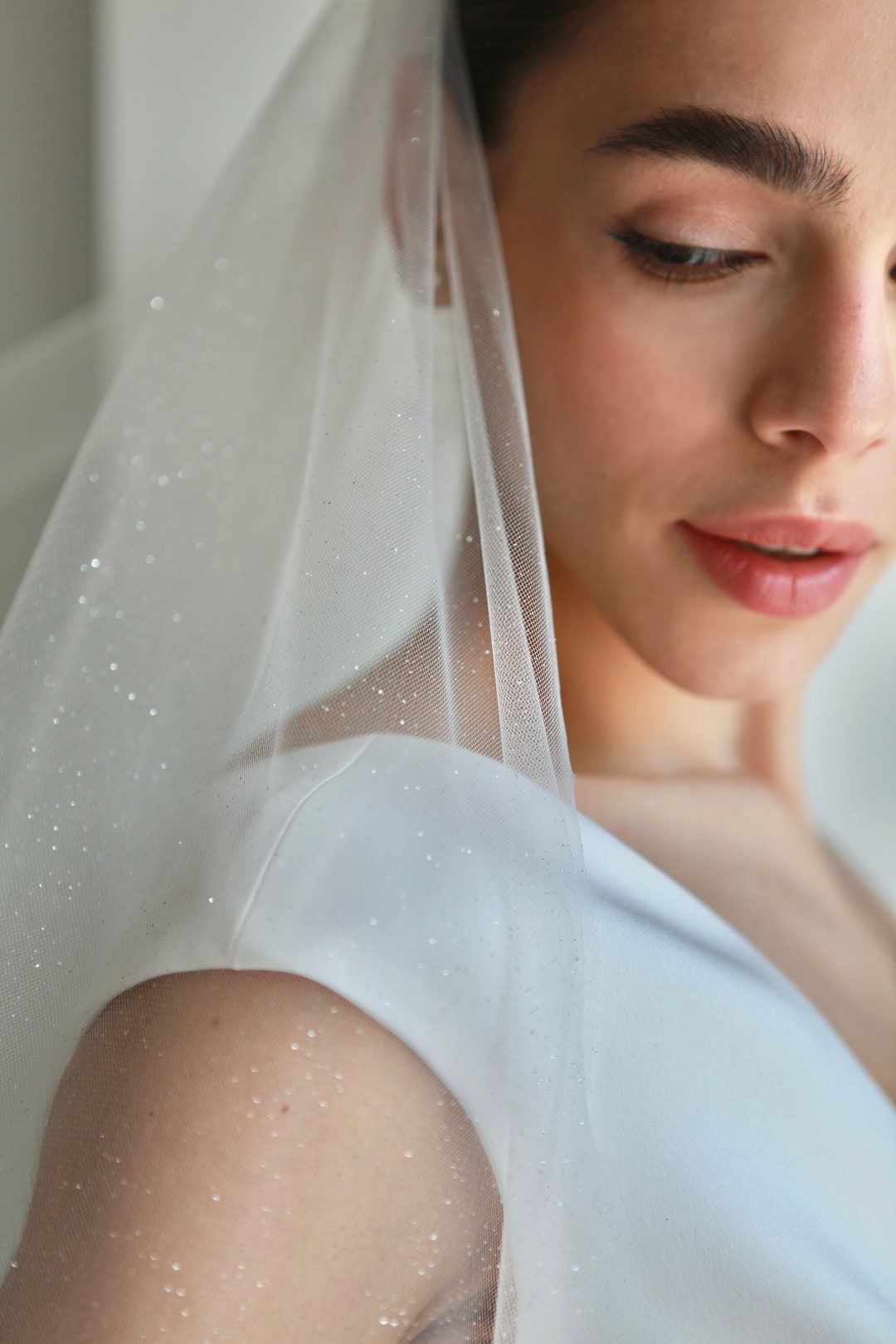 Glitter Wedding Veil, Single Layer Long Wedding Veil With Silver ...
