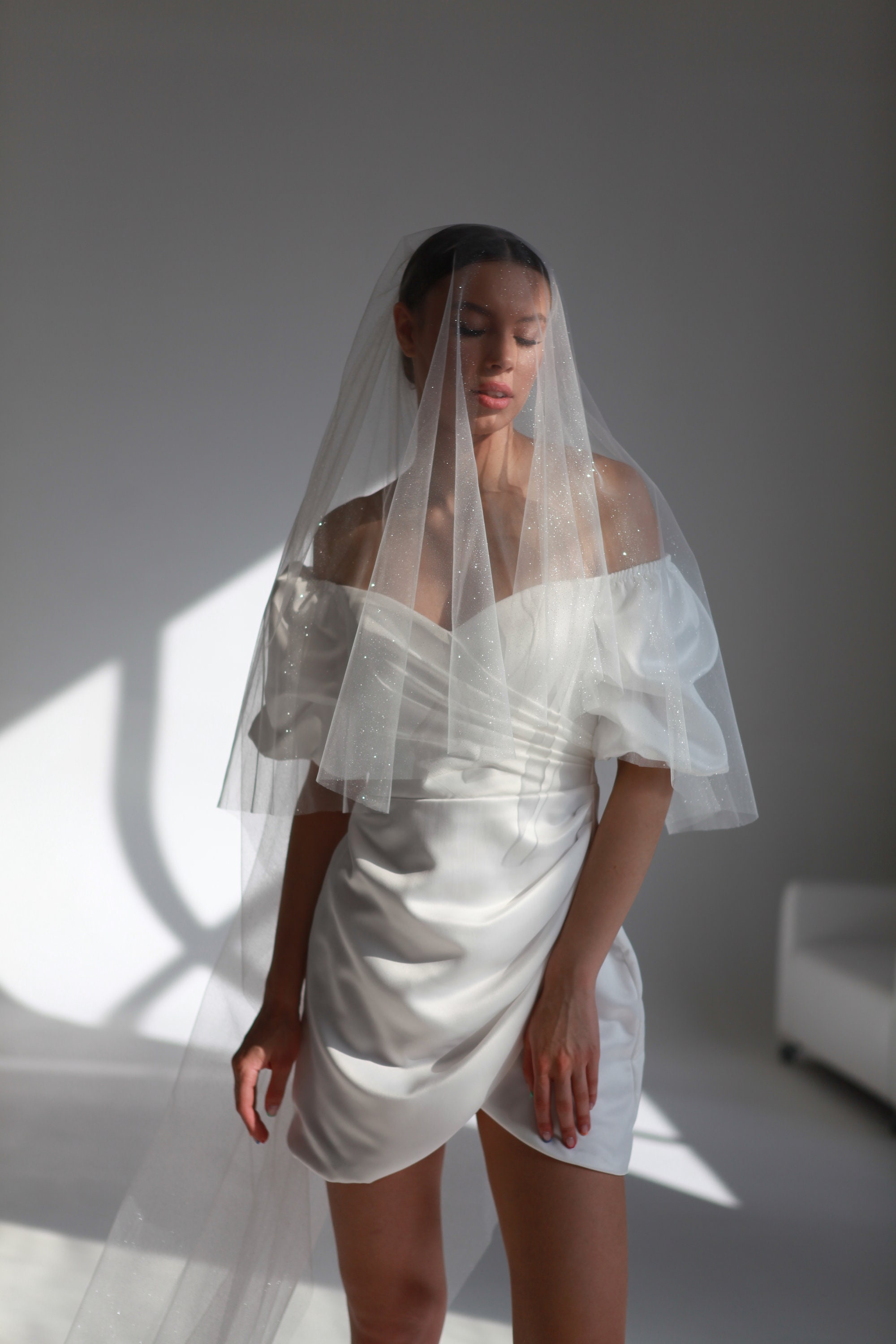 Glitter wedding veil with blusher, two tier long shimmer veil ...