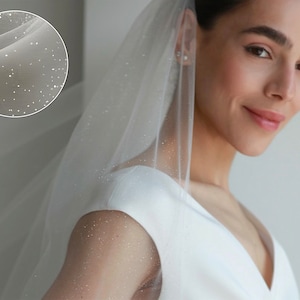 Glitter Wedding Veil, Single Layer Long Wedding Veil With Silver ...