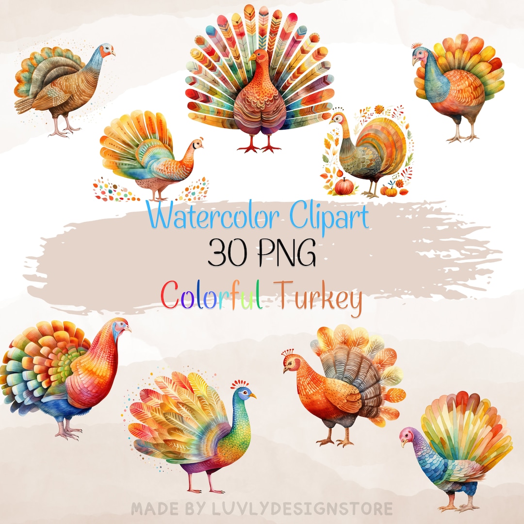 Colorful Watercolor Turkeys 30 PNG 300 DPI, Thanksgiving Turkey Clipart ...