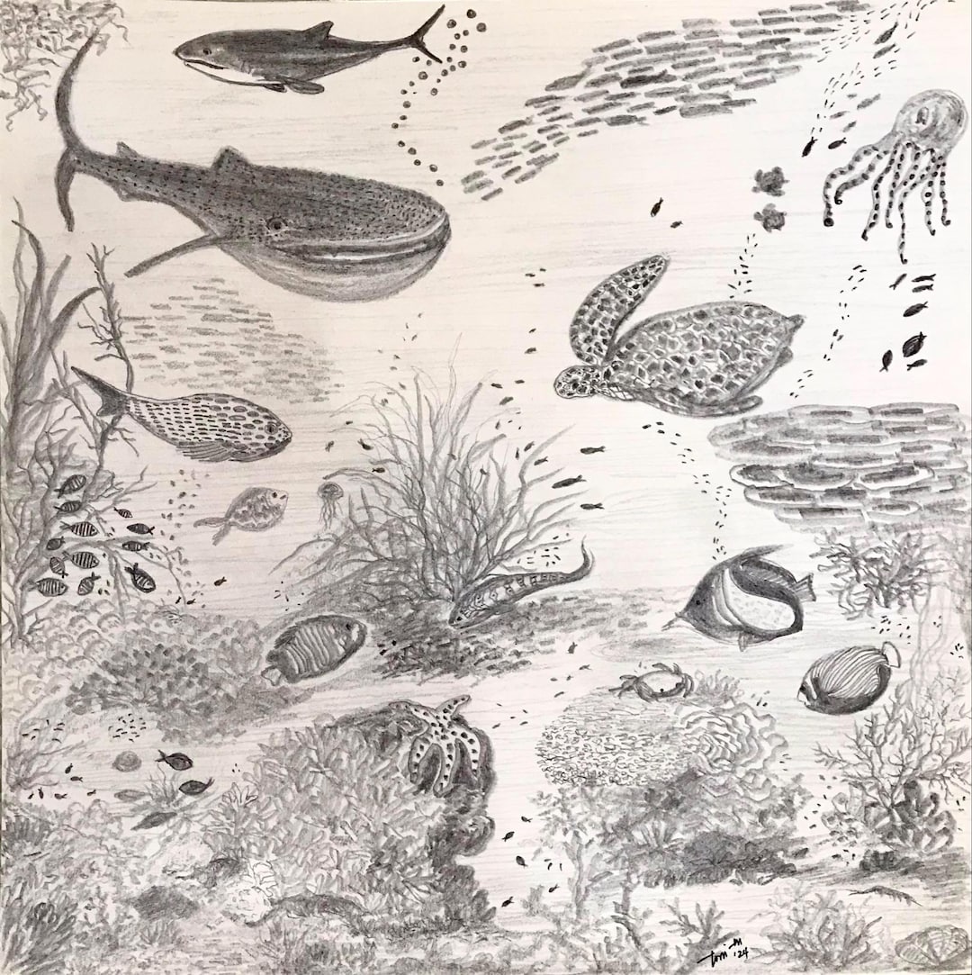 Reef Life Graphite Pencil Drawing: Original Ocean Artwork (12x12) - Etsy
