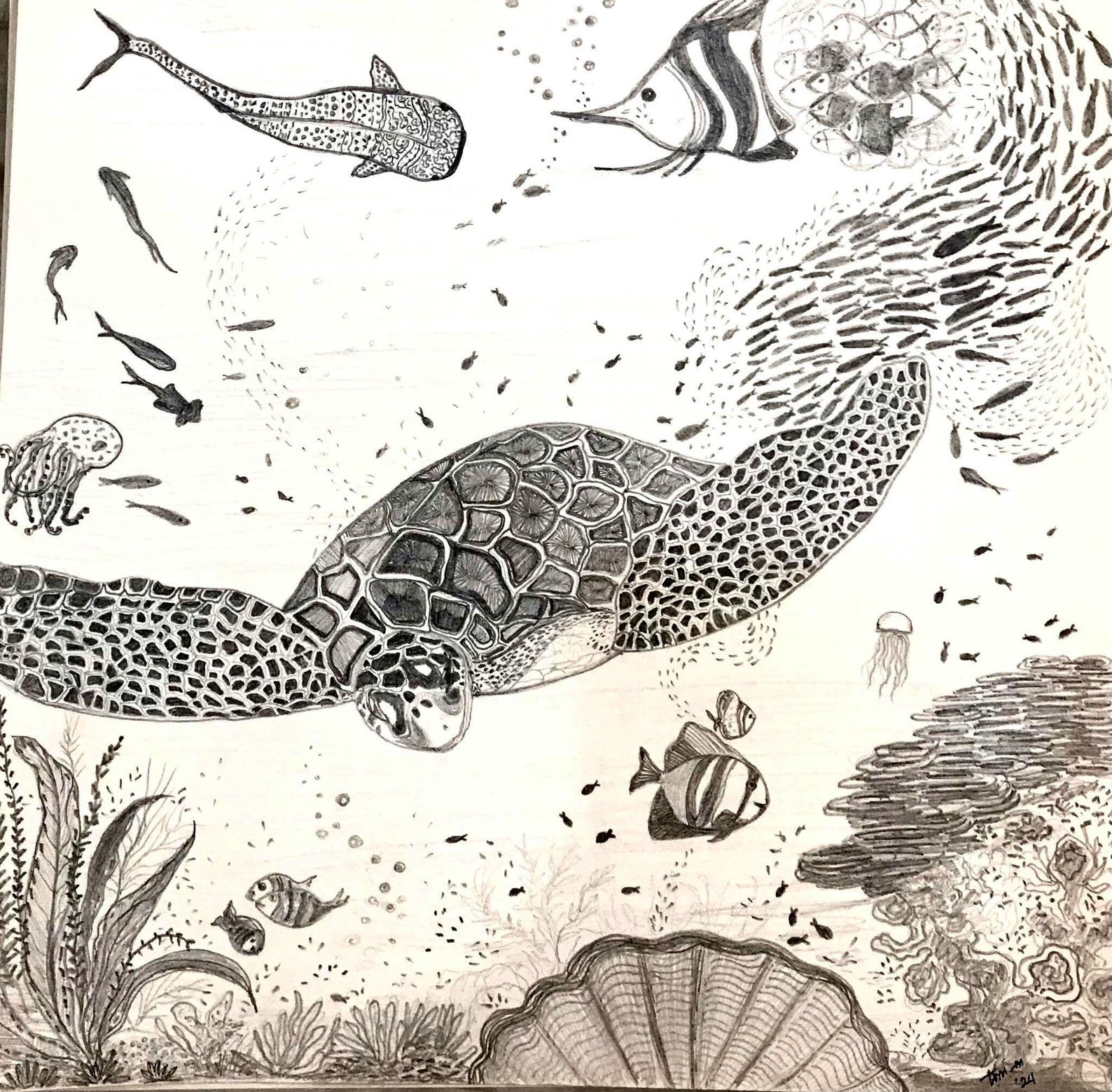 Sea World Art: Original Graphite Pencil Drawing (12x12 Inches) - Etsy
