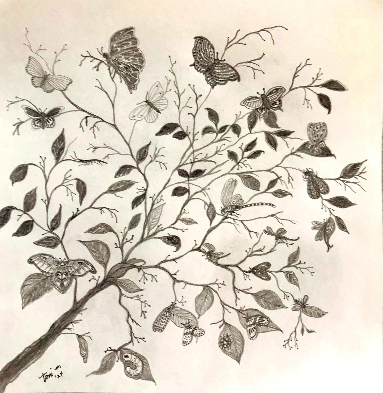 A Plethora of Beautiful Bugs and Butterflies an Original Artwork ...
