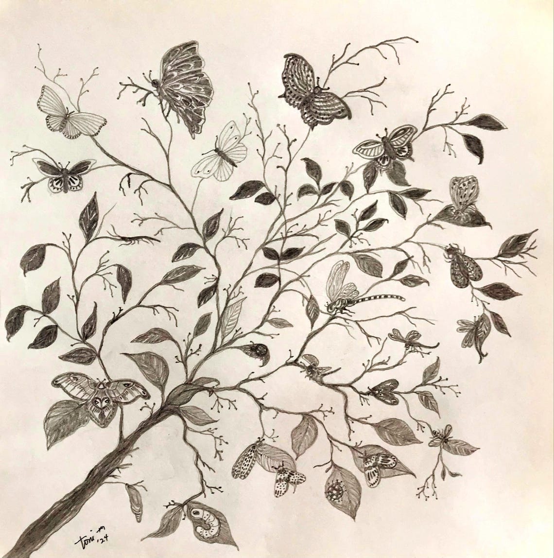 A Plethora of Beautiful Bugs and Butterflies an Original Artwork ...