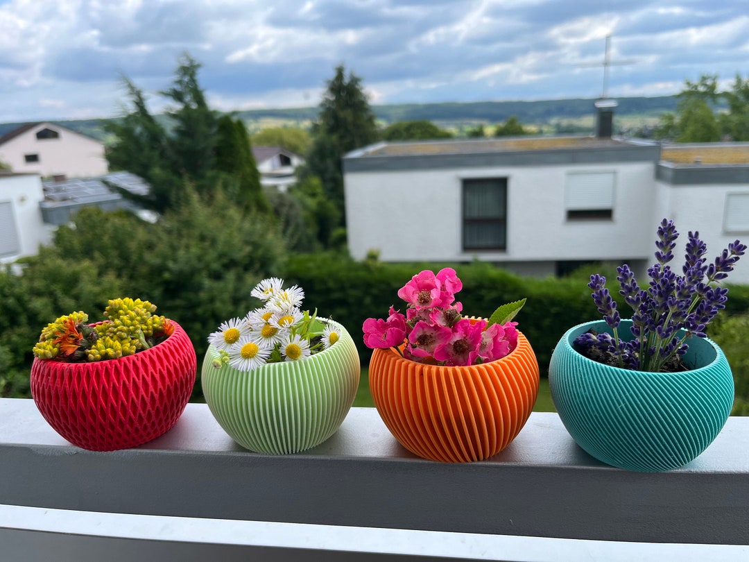 Personalised 3D Printed Flower Pots in Unique Designs and Colours ...