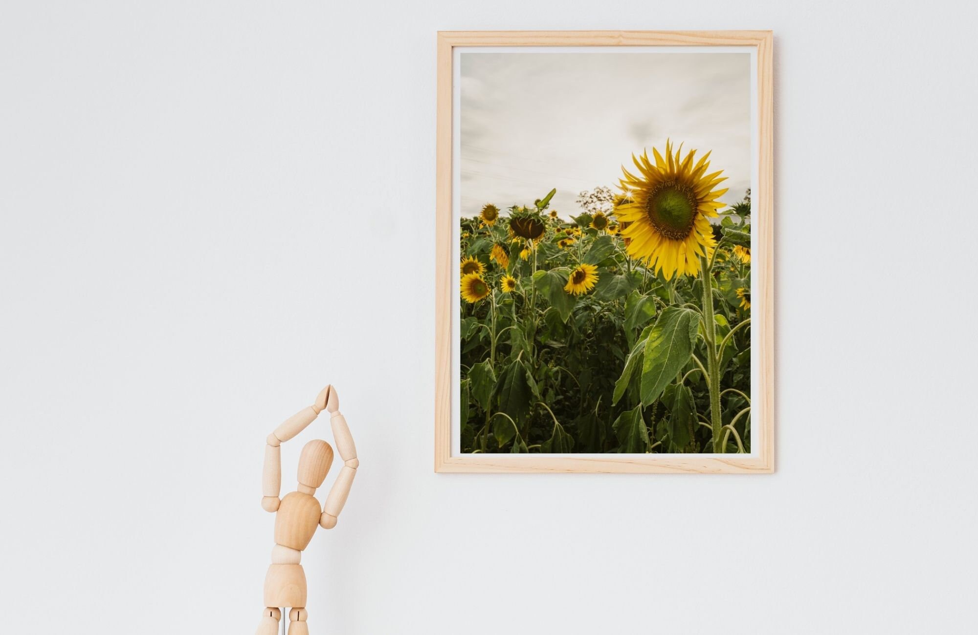 Sunflower Photos Printable File, Sunflowers Digital Image, Sunflower ...