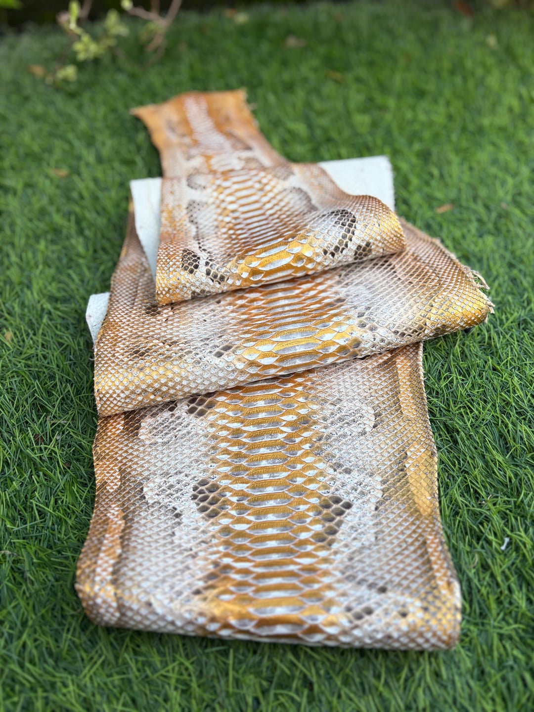 Genuine Phyton Skin Multi Colour Gold Mix - Etsy