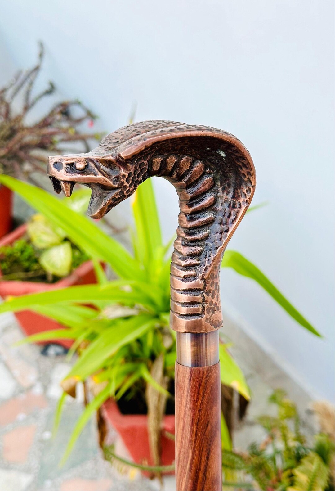 Elegant Cobra Head Walking Stick, Cobra Head Wooden Cane, Luxury Cobra ...