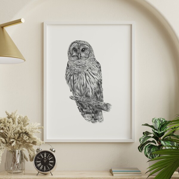 Uil - Etsy