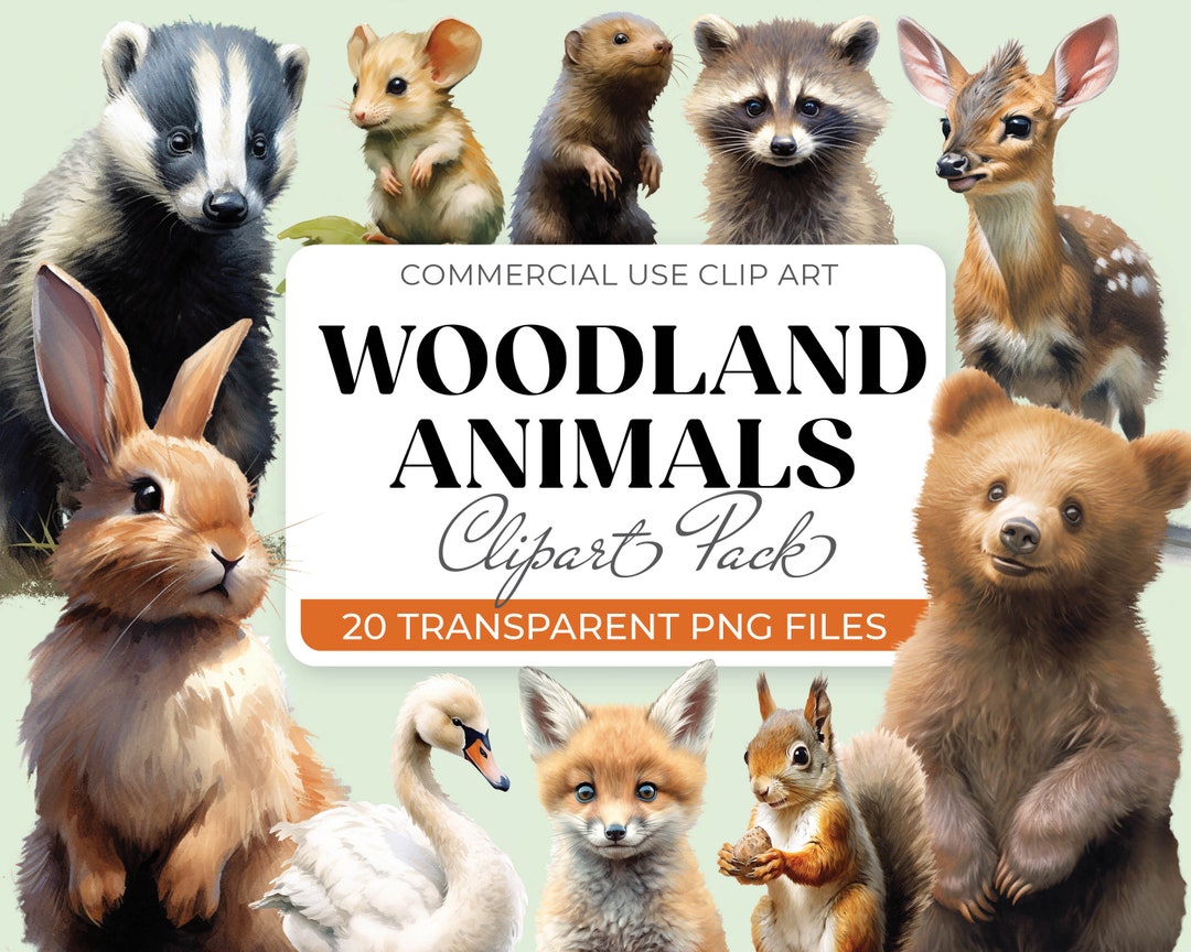 Woodland Animals, Clipart Collection, Illustration, Transparent ...
