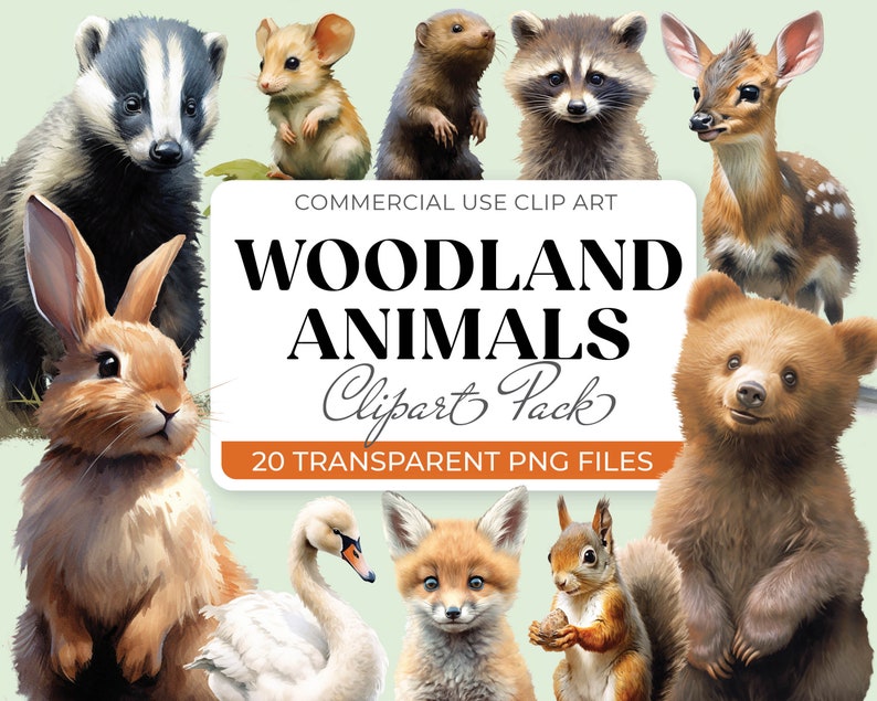 Woodland Animals, Clipart Collection, Illustration, Transparent ...