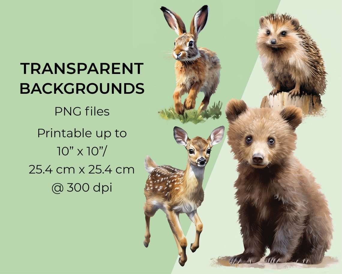 Woodland Animals, Clipart Collection, Illustration, Transparent ...