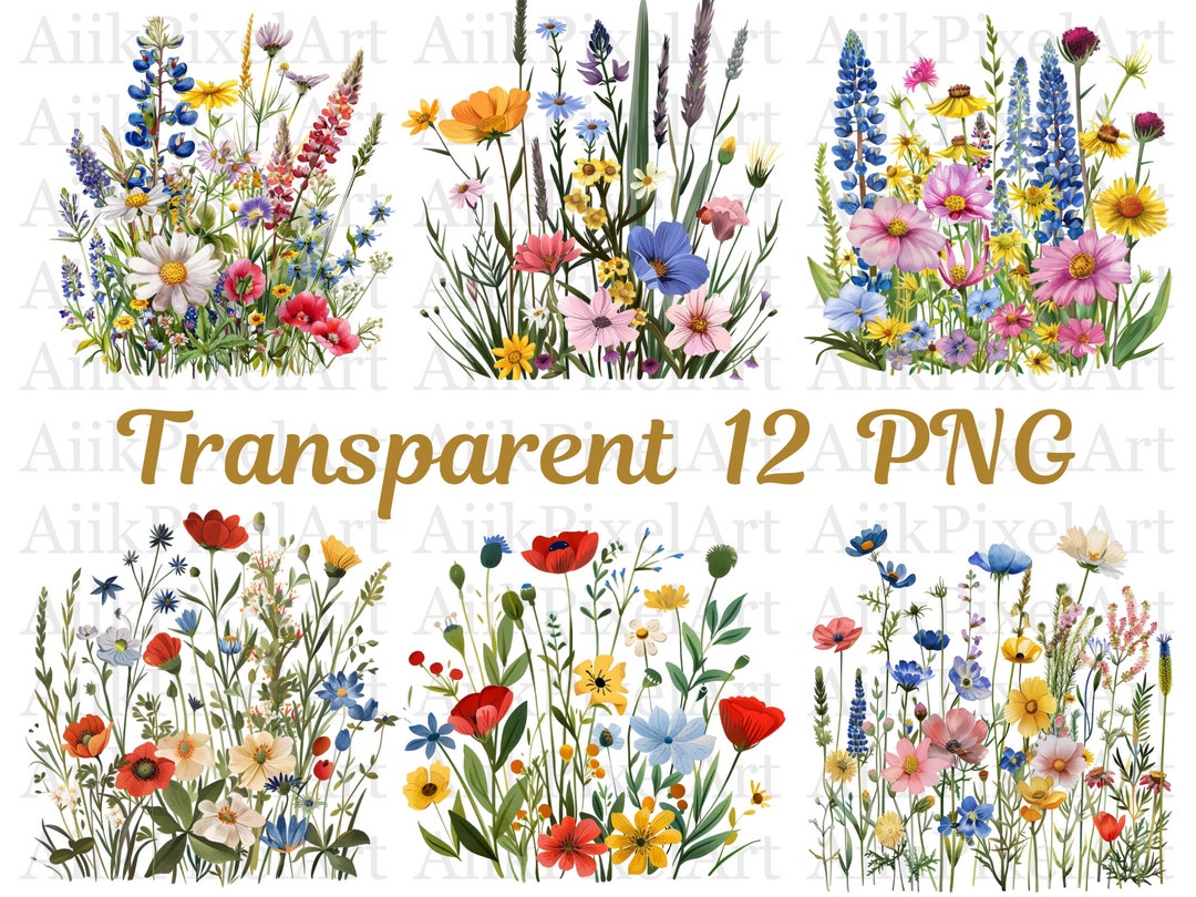 Watercolor Wildflower Clipart: Meadow Summer Field PNG (digital ...
