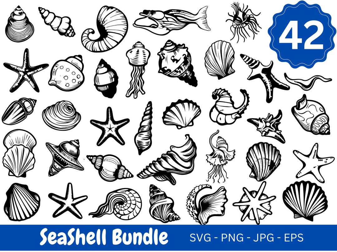 42 Seashell Svg Bundle, Sea Shell Svg, Seashell Png Bundle, Ocean ...