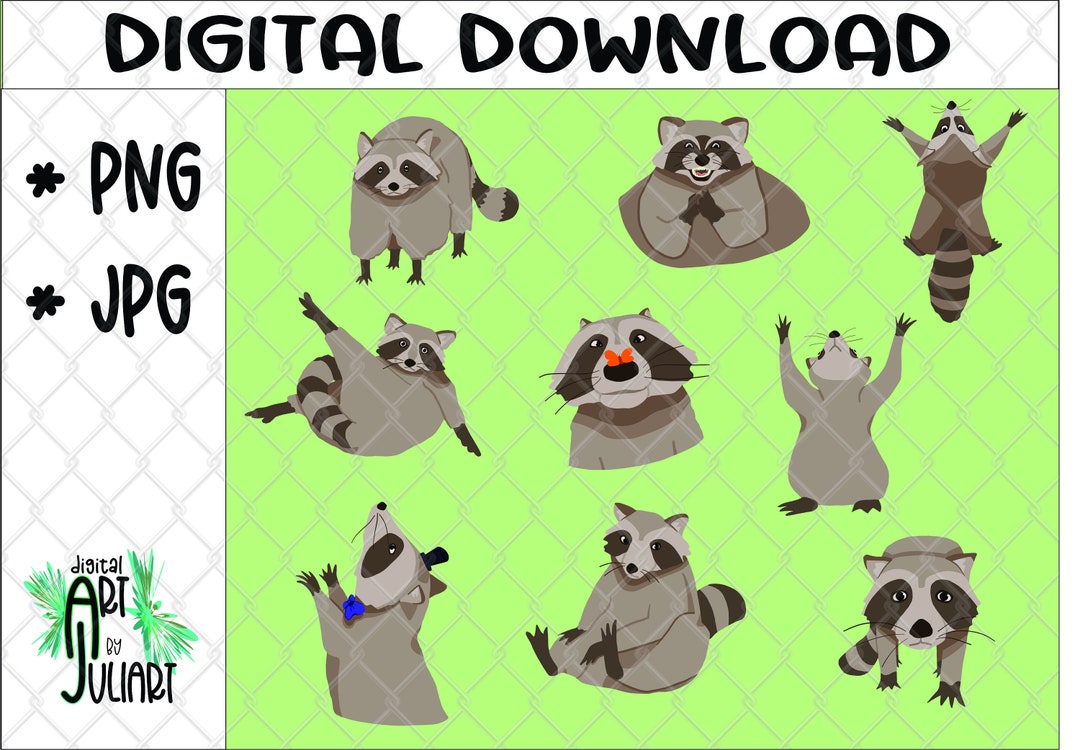 Raccoon Bundle Clipart. Digital Raccoon Drawing. Raccoon - Etsy