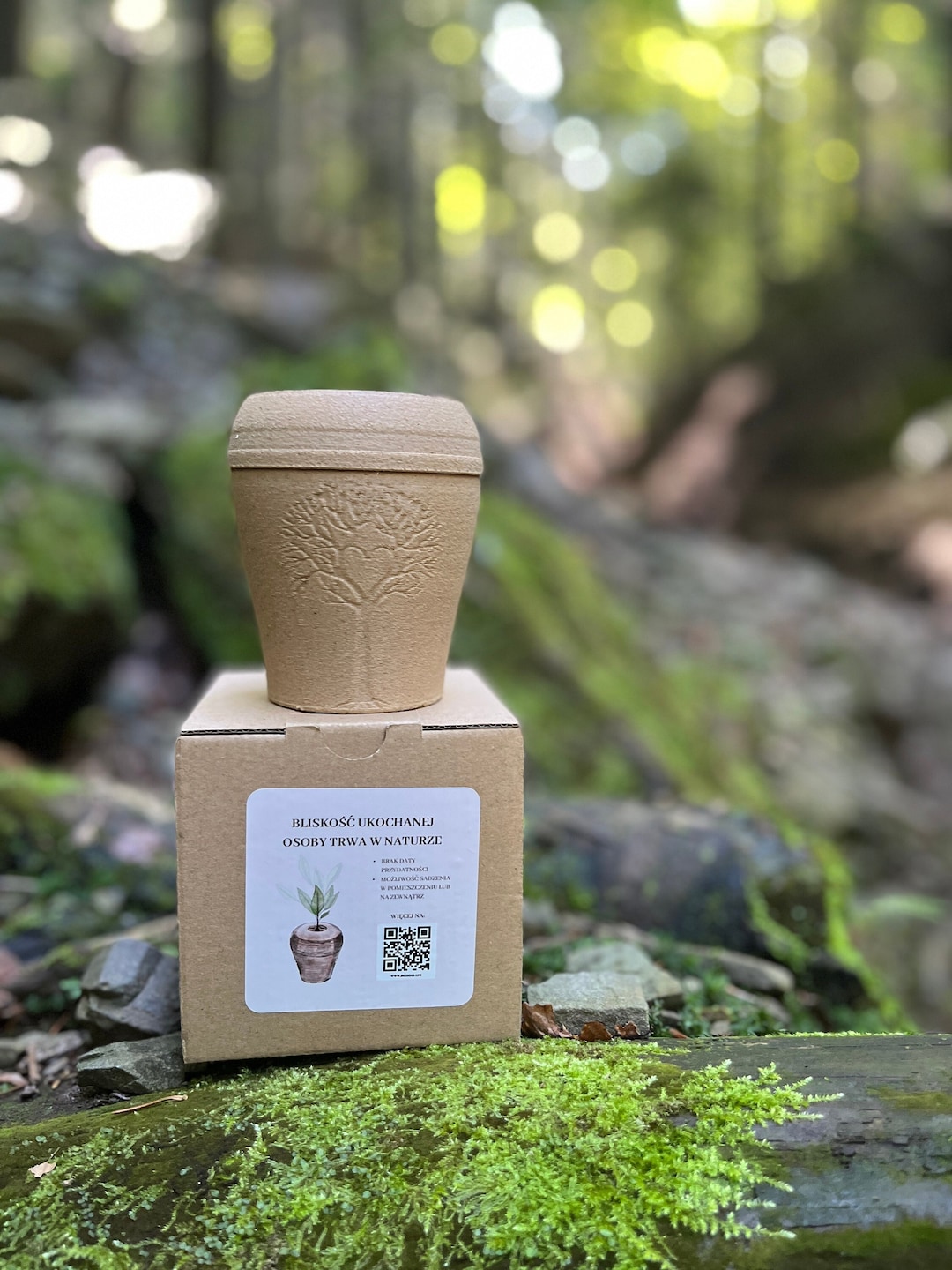 Mini Tree Urn for Ashes, Biodegradable Burial Pod - Etsy