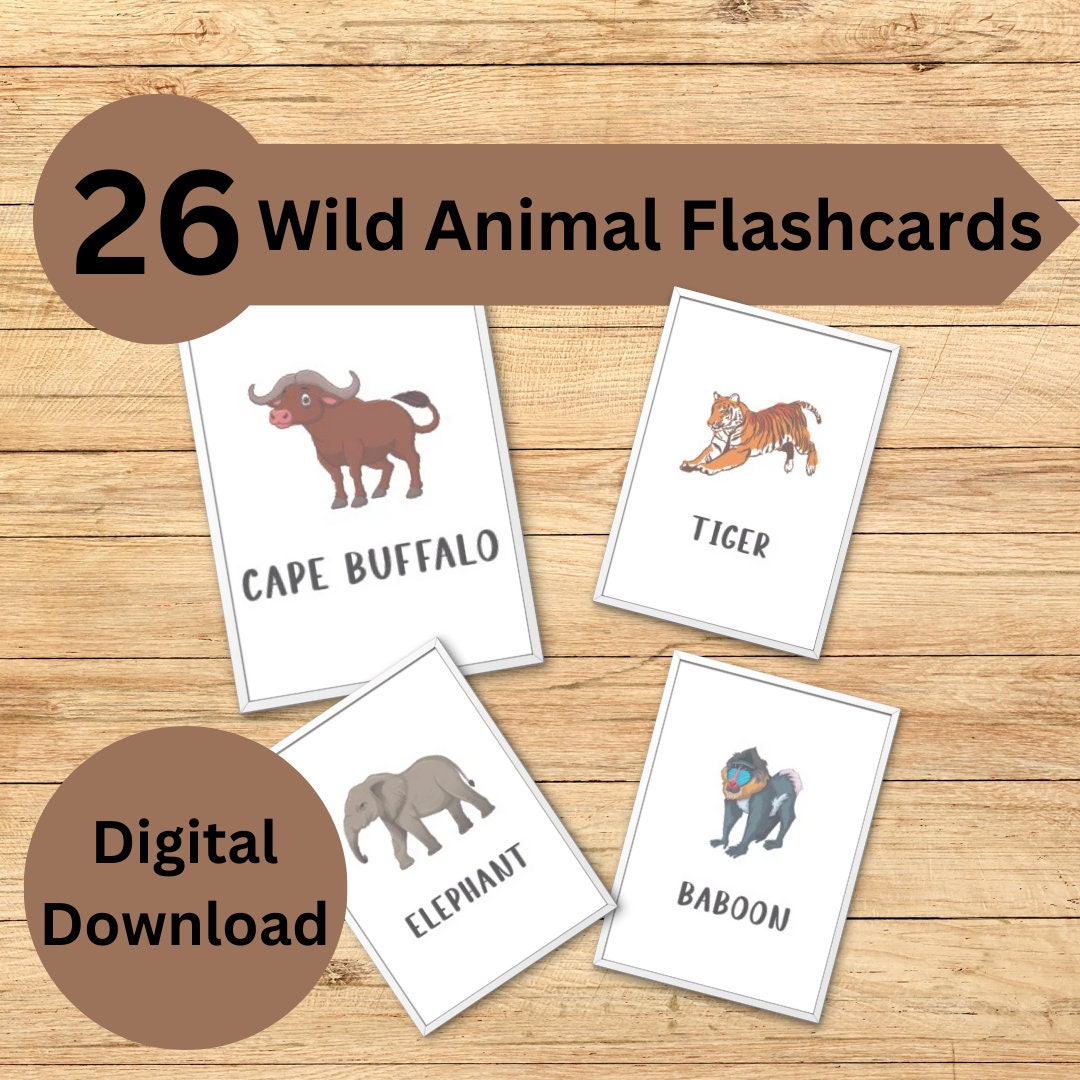 26 Wild Animals / Wild Animal Flashcards / Montessori - Etsy