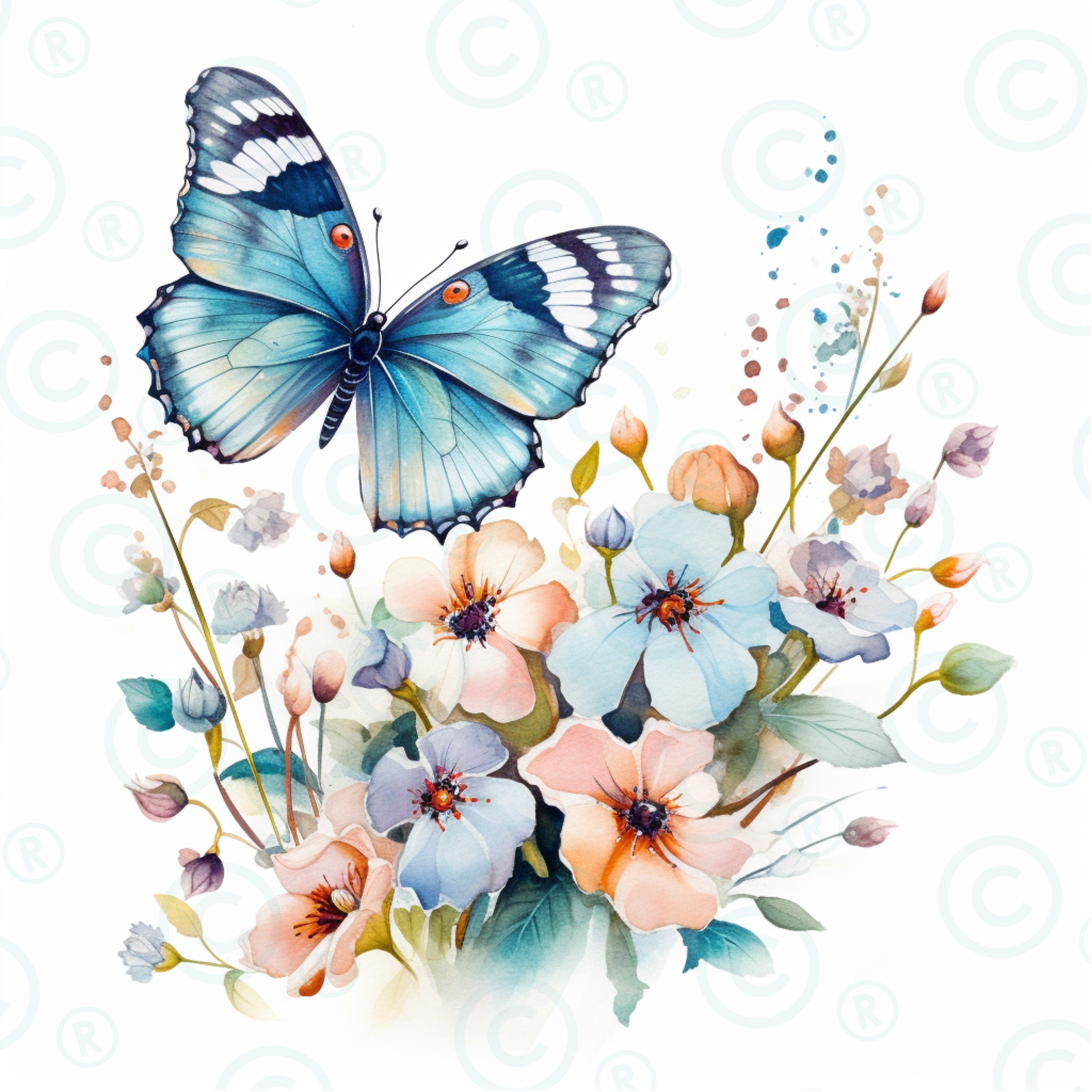 Summer Butterfly, Clipart , Floral, White and Transparent Background ...