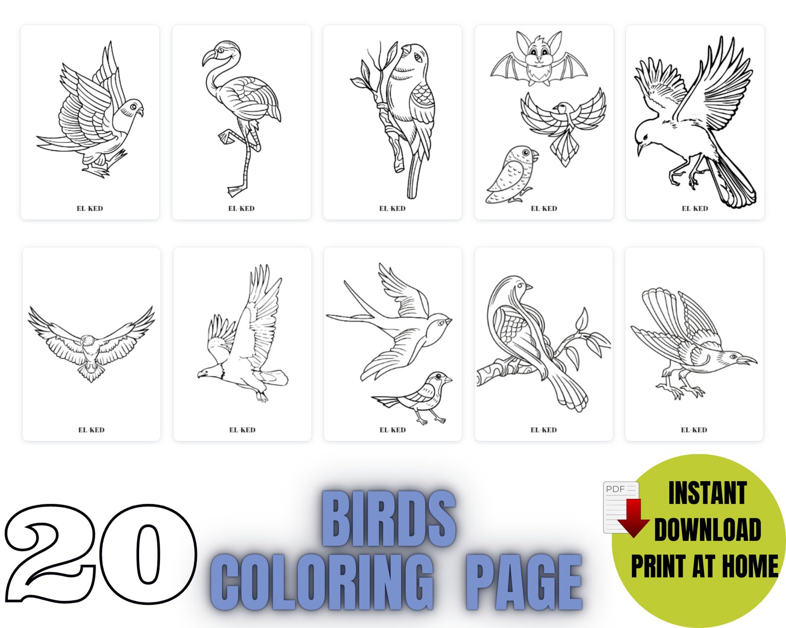 Birds Coloring Pages, Birds PDF, Printable Birds, Birds Coloring Pages ...