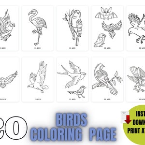 Birds Coloring Pages, Birds PDF, Printable Birds, Birds Coloring Pages ...