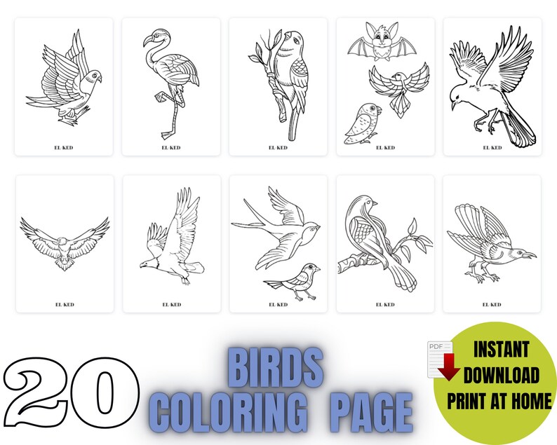 Birds Coloring Pages, Birds PDF, Printable Birds, Birds Coloring Pages ...