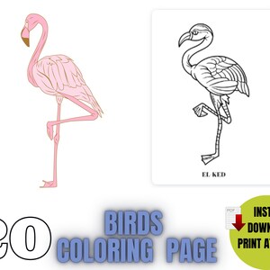 Birds Coloring Pages, Birds PDF, Printable Birds, Birds Coloring Pages ...
