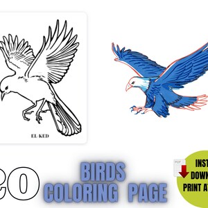 Birds Coloring Pages, Birds PDF, Printable Birds, Birds Coloring Pages ...