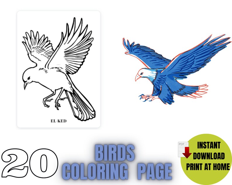Birds Coloring Pages, Birds PDF, Printable Birds, Birds Coloring Pages ...
