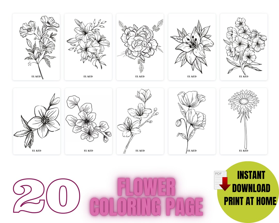 20 Printable Flower Coloring Pages, Coloring Book, Adults Kids ...
