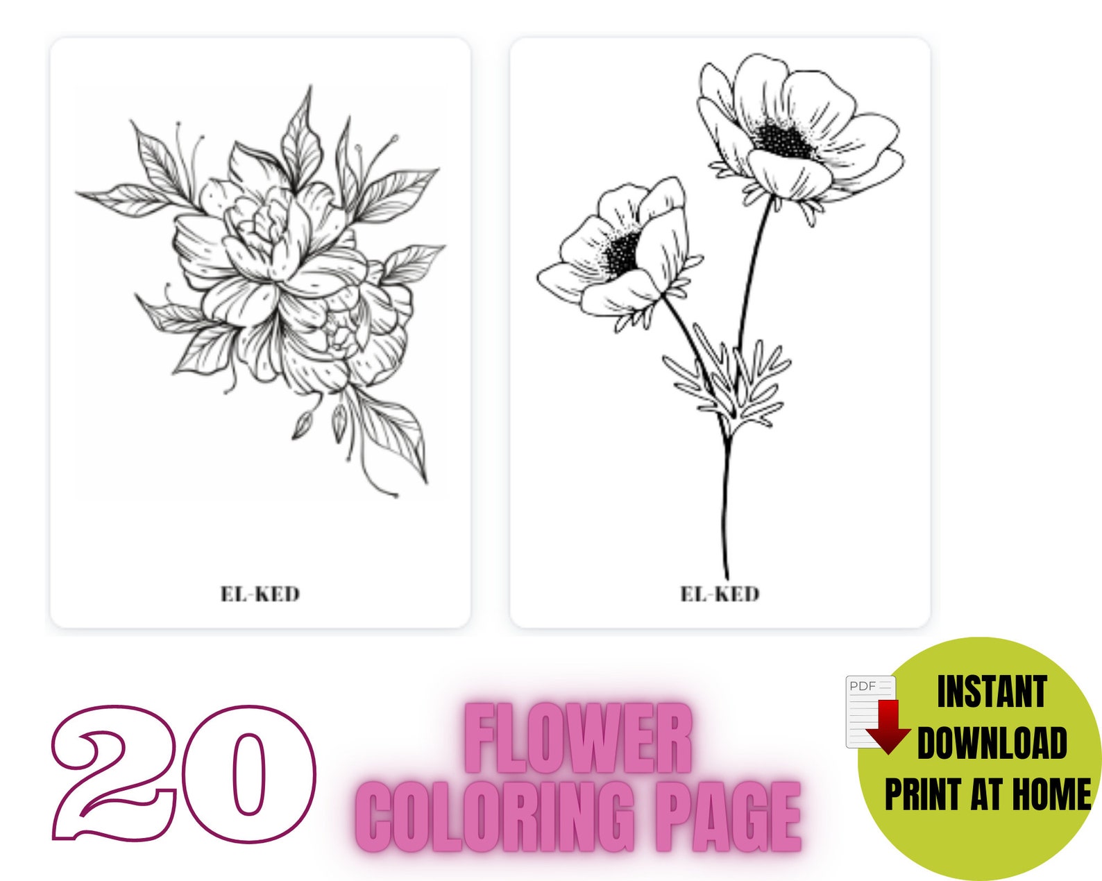 20 Printable Flower Coloring Pages, Coloring Book, Adults Kids ...