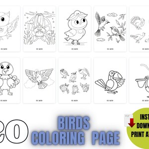 Birds Coloring Pages, Birds PDF, Printable Birds, Birds Coloring Pages ...
