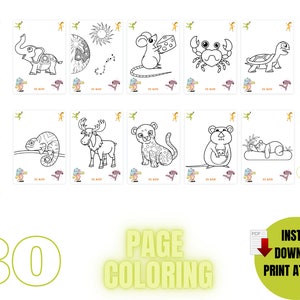 Coloring Pages Pack, 30 Animal Coloring Pages for Kids, Coloring Book ...