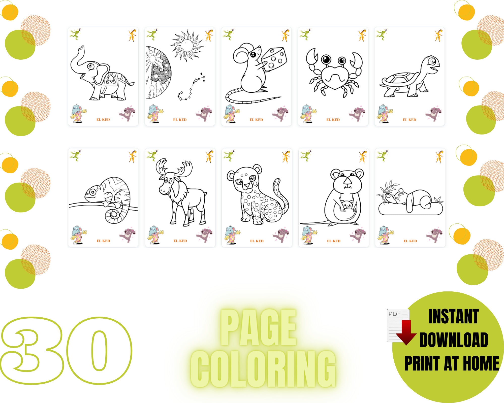 Coloring Pages Pack, 30 Animal Coloring Pages for Kids, Coloring Book ...