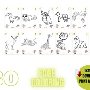 Coloring Pages Pack, 30 Animal Coloring Pages for Kids, Coloring Book ...