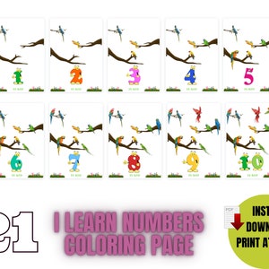 Learn to Count Learn to Count 1-10 Learn Numbers Edition - Etsy