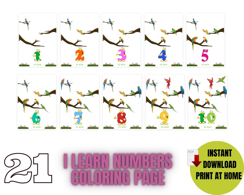 Learn to Count Learn to Count 1-10 Learn Numbers Edition - Etsy