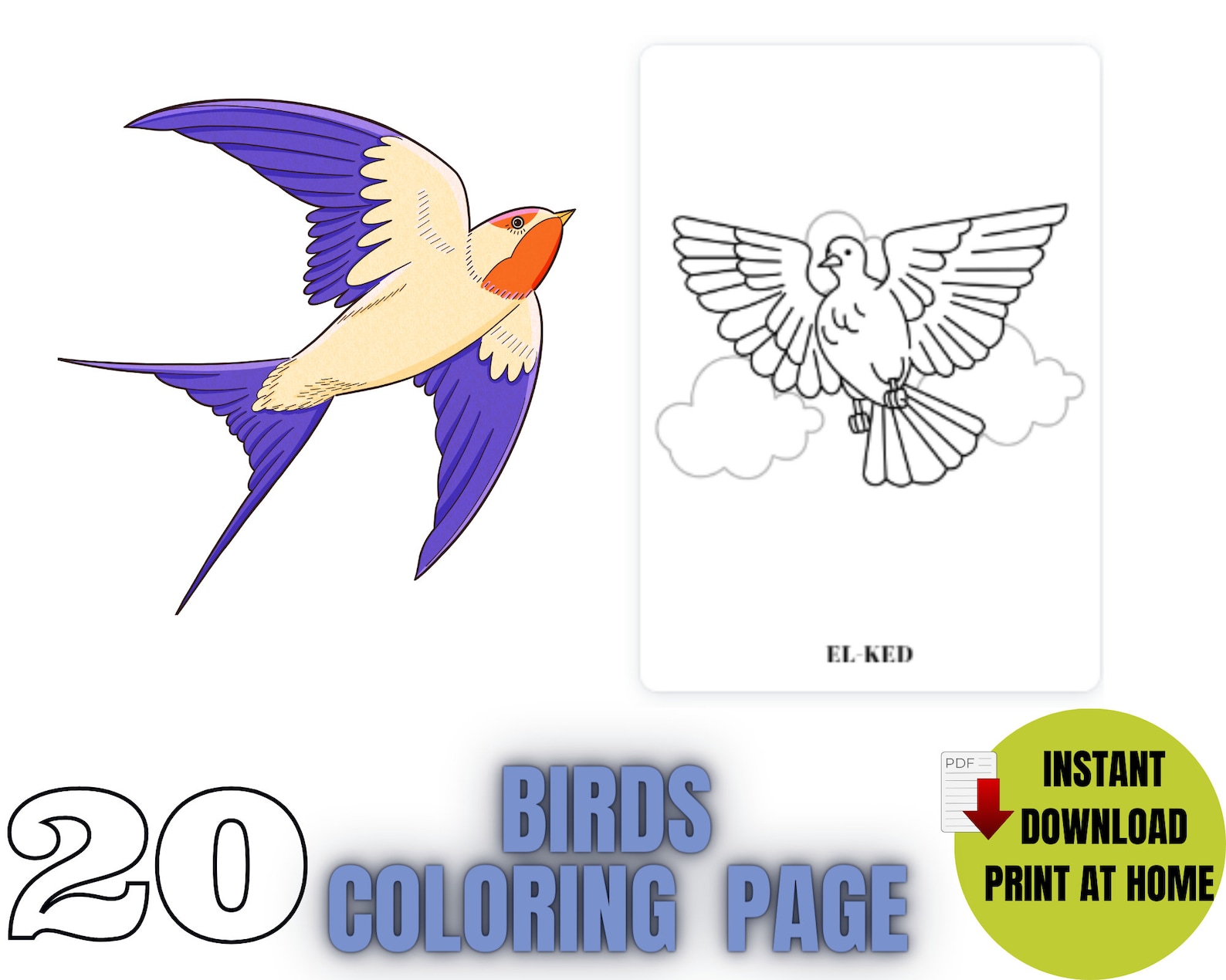 Birds Coloring Pages, Birds PDF, Printable Birds, Birds Coloring Pages ...