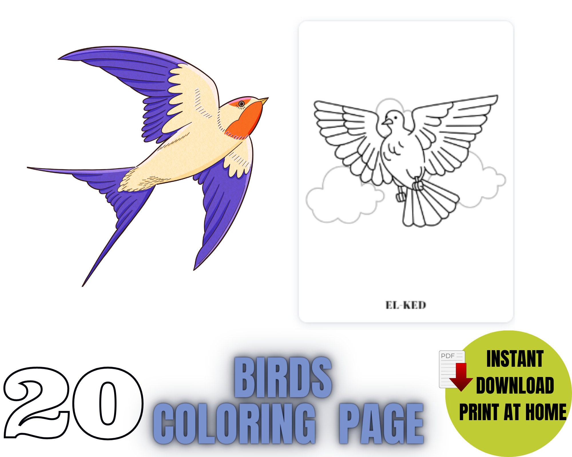 Birds Coloring Pages, Birds PDF, Printable Birds, Birds Coloring Pages ...